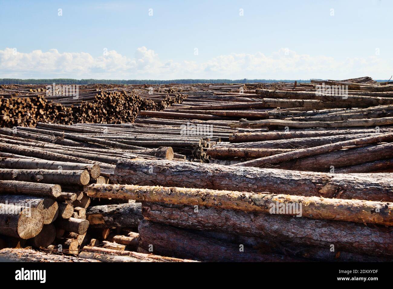 Piles De Bois Rond Banque d'image et photos - Alamy