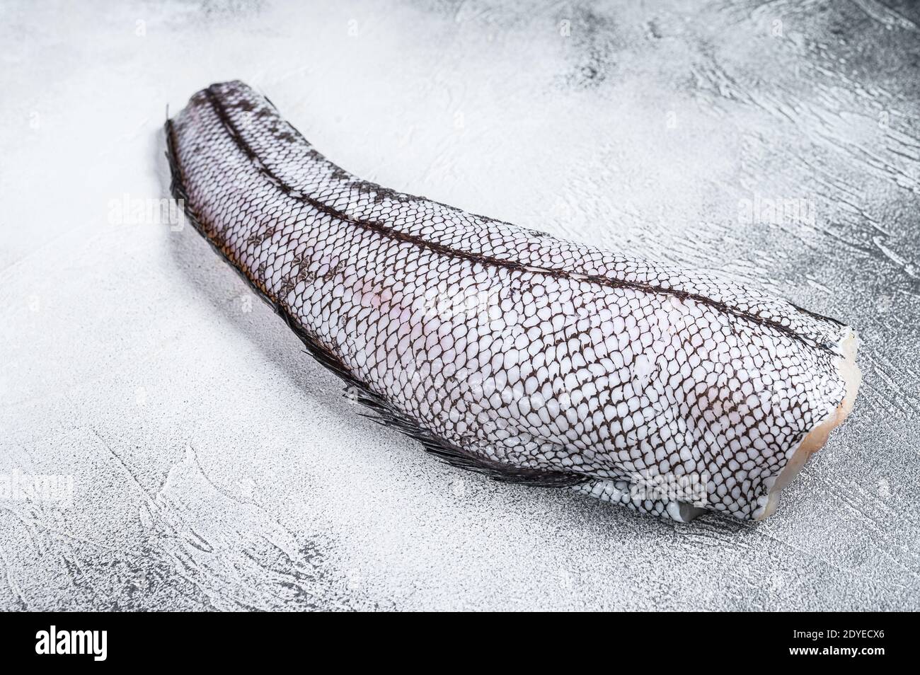 Grenadier de poisson Banque de photographies et d’images à haute ...