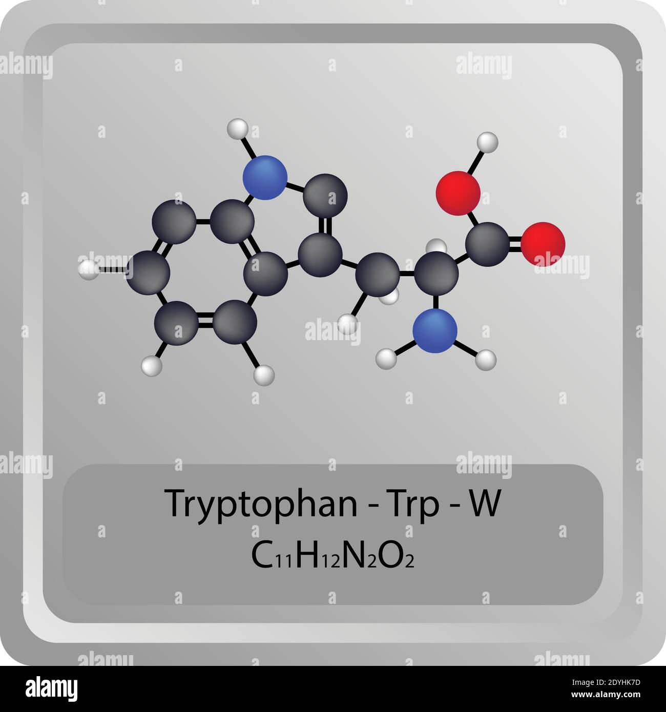 Formule chimique tryptophane Banque d'images vectorielles - Alamy