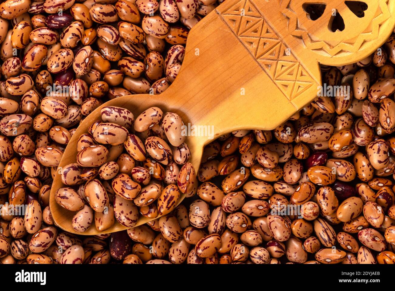 Haricots blancs de Cargamanto, également connu sous le nom de fond et ...