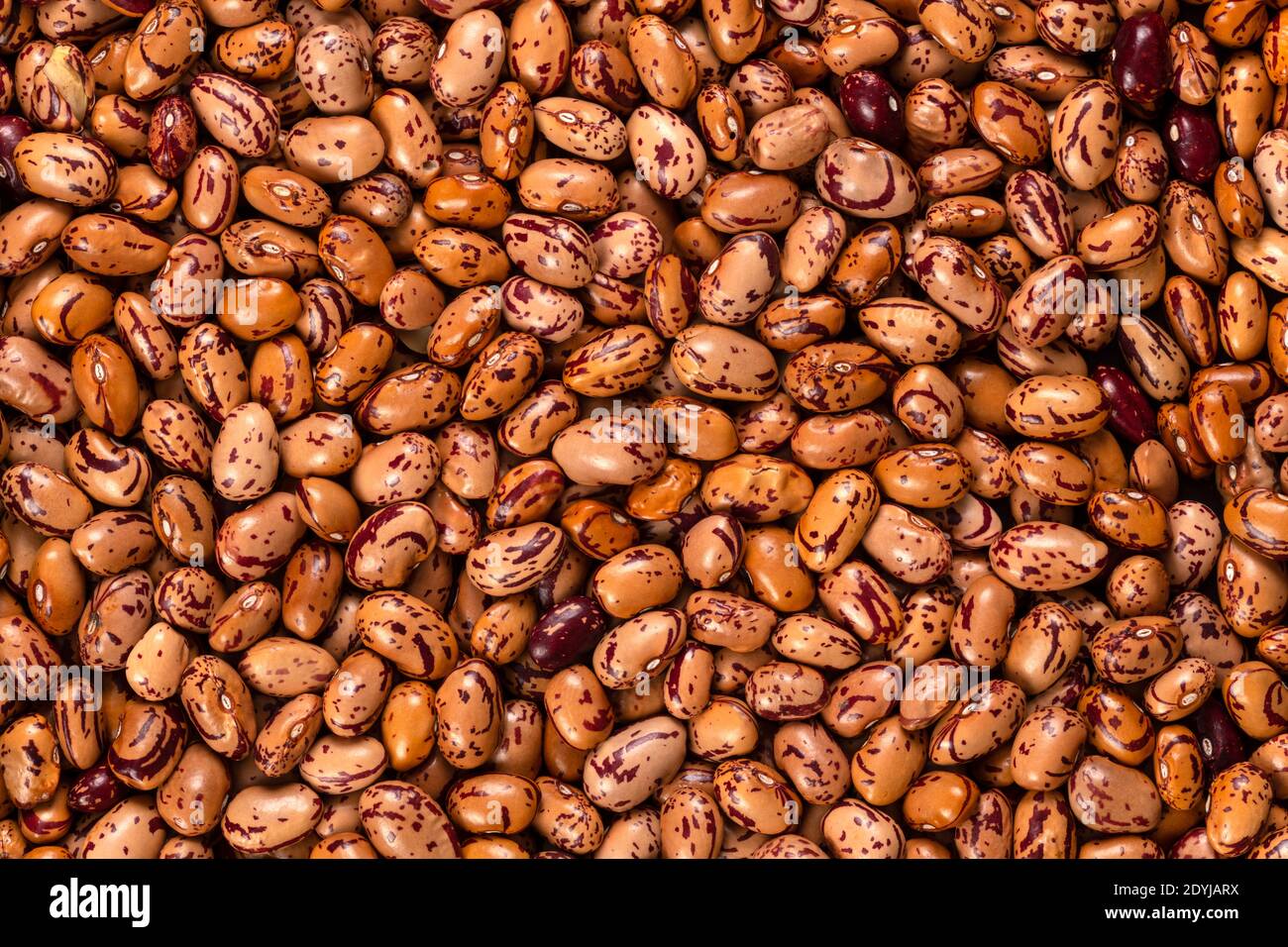 Haricots romano Banque de photographies et d’images à haute résolution ...