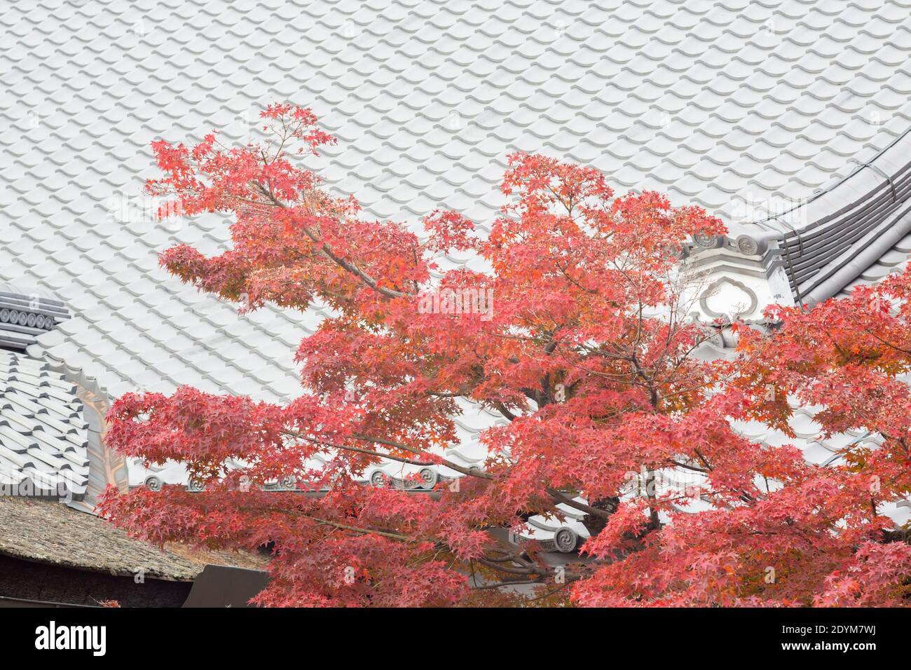 Tuile kawara Banque de photographies et d’images à haute résolution - Alamy