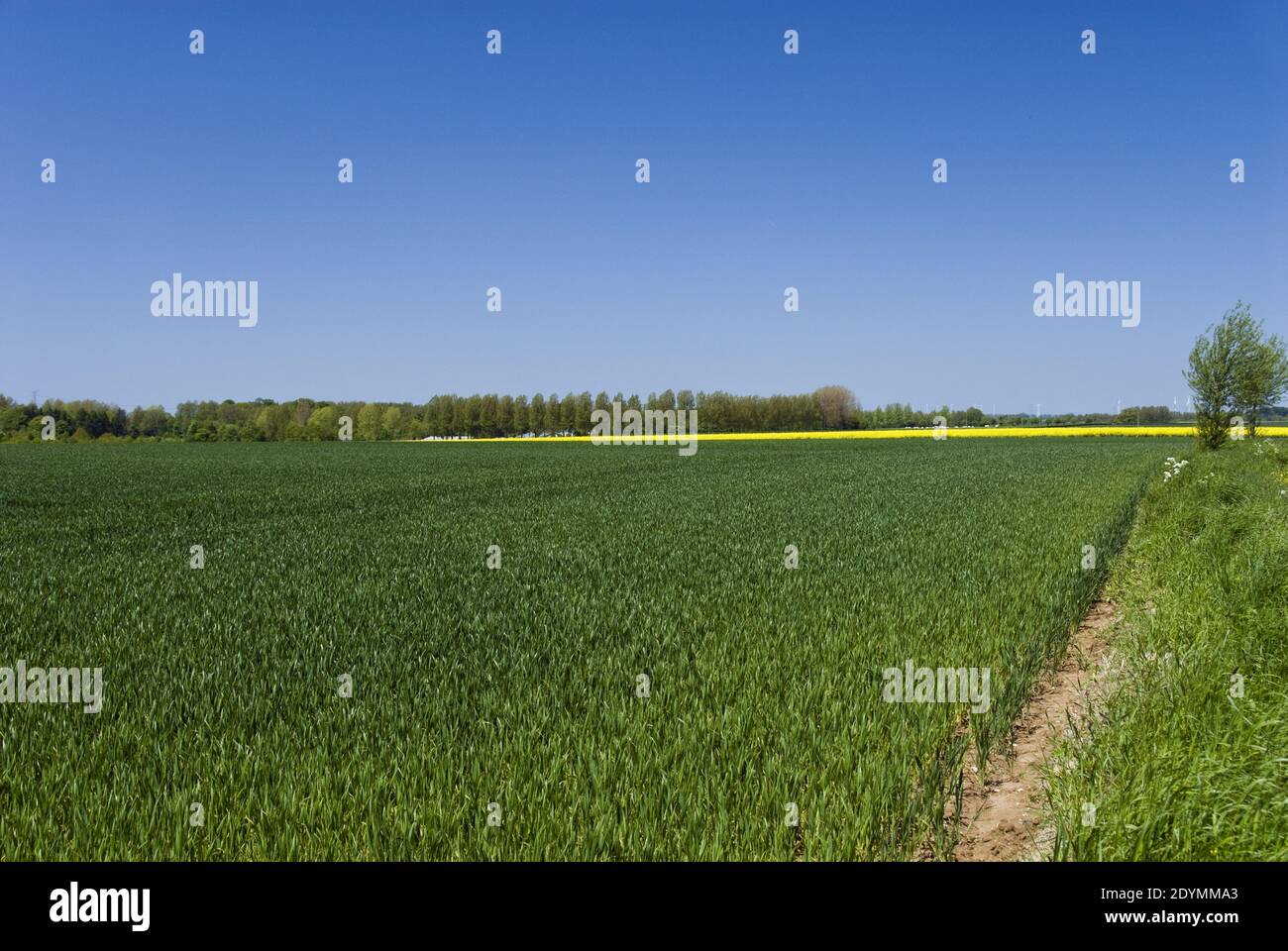 Azincourt museum Banque de photographies et d’images à haute résolution ...