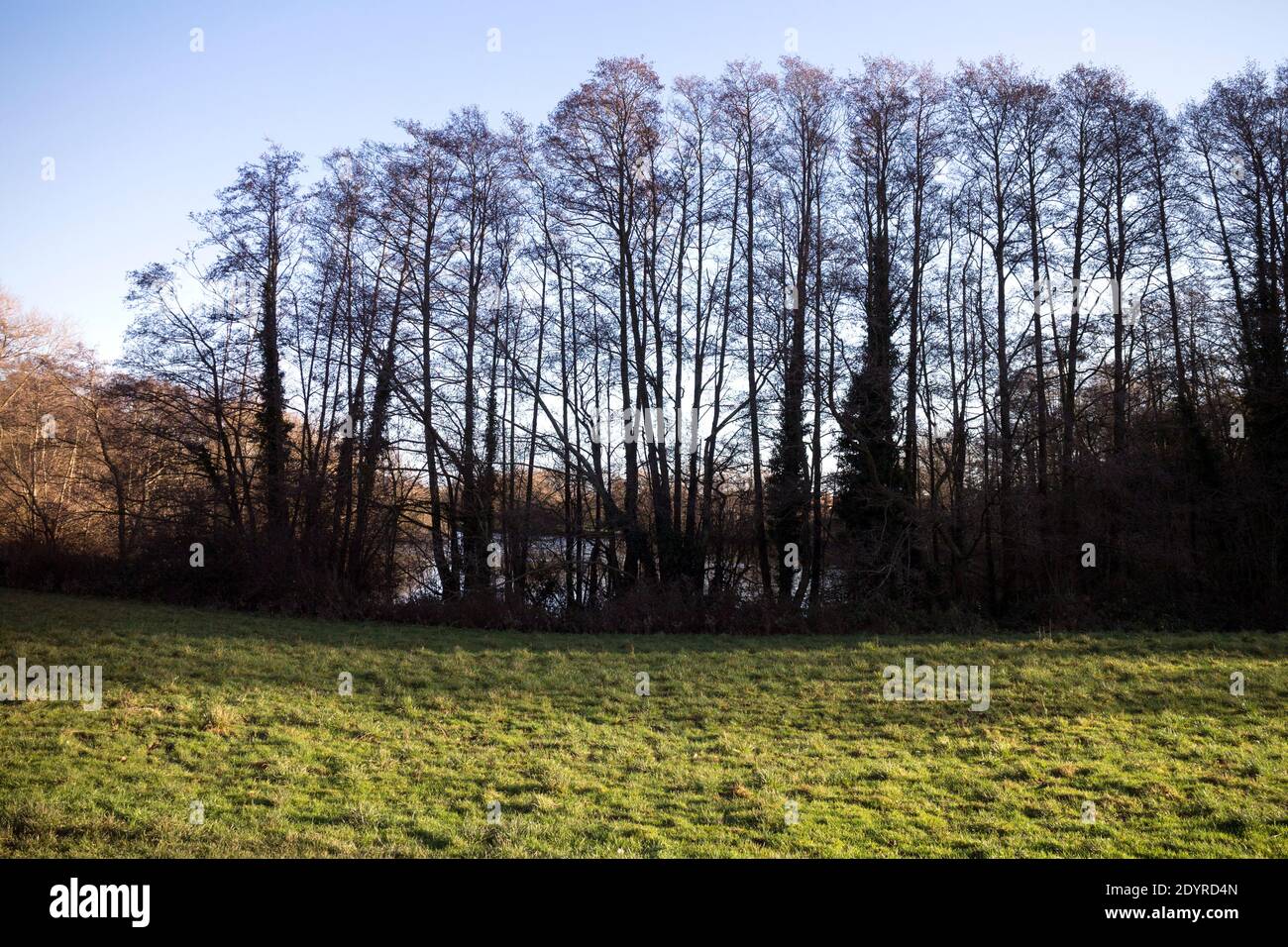 Hillfield park Banque de photographies et d’images à haute résolution ...