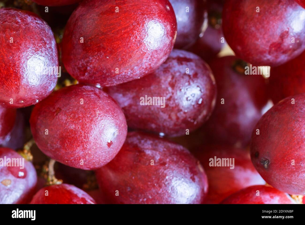 Gros plan d'une grappe de raisin Banque de photographies et d’images à ...
