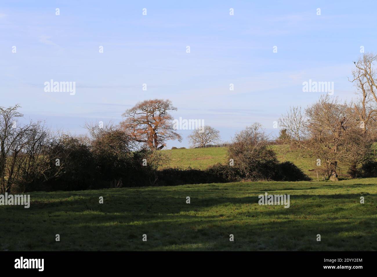 Paysages ruraux Banque de photographies et d’images à haute résolution ...