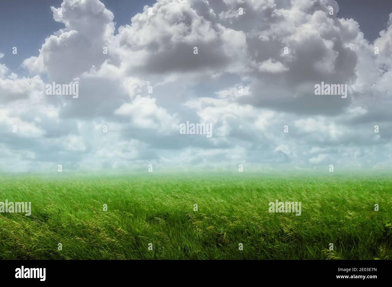 arrière-plan avec un ciel nuageux (illustration d'une situation fictive ...