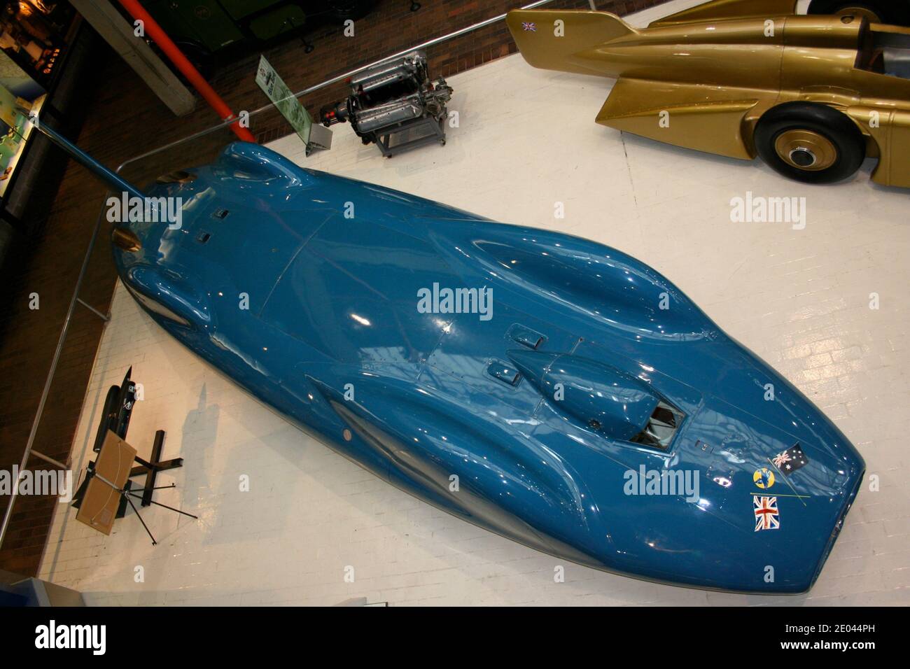 Bluebird proteus Banque de photographies et d’images à haute résolution ...