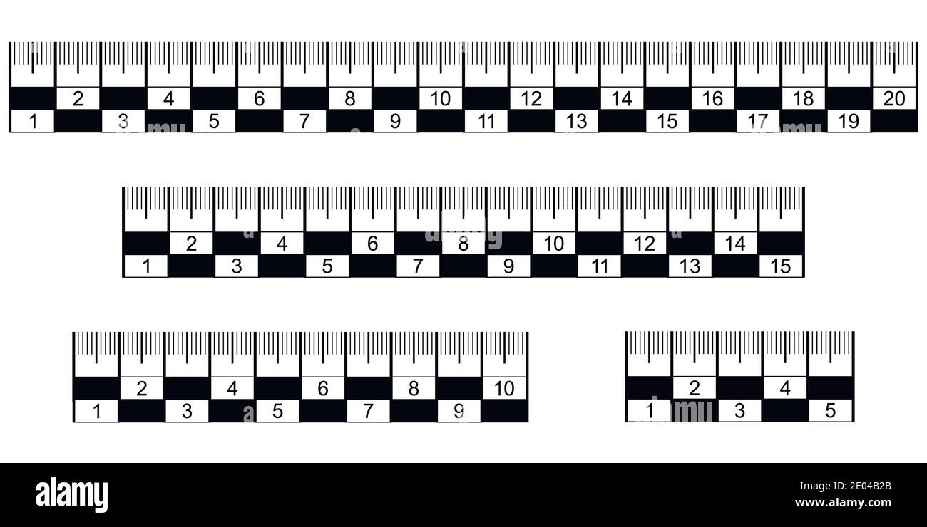 Crime Scene Ruler Banque d'images vectorielles - Alamy