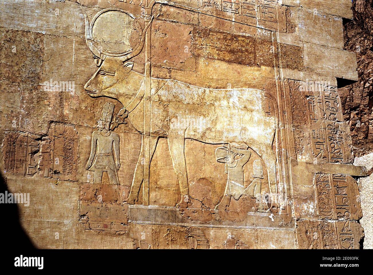 Cow Goddess Banque d'image et photos - Alamy