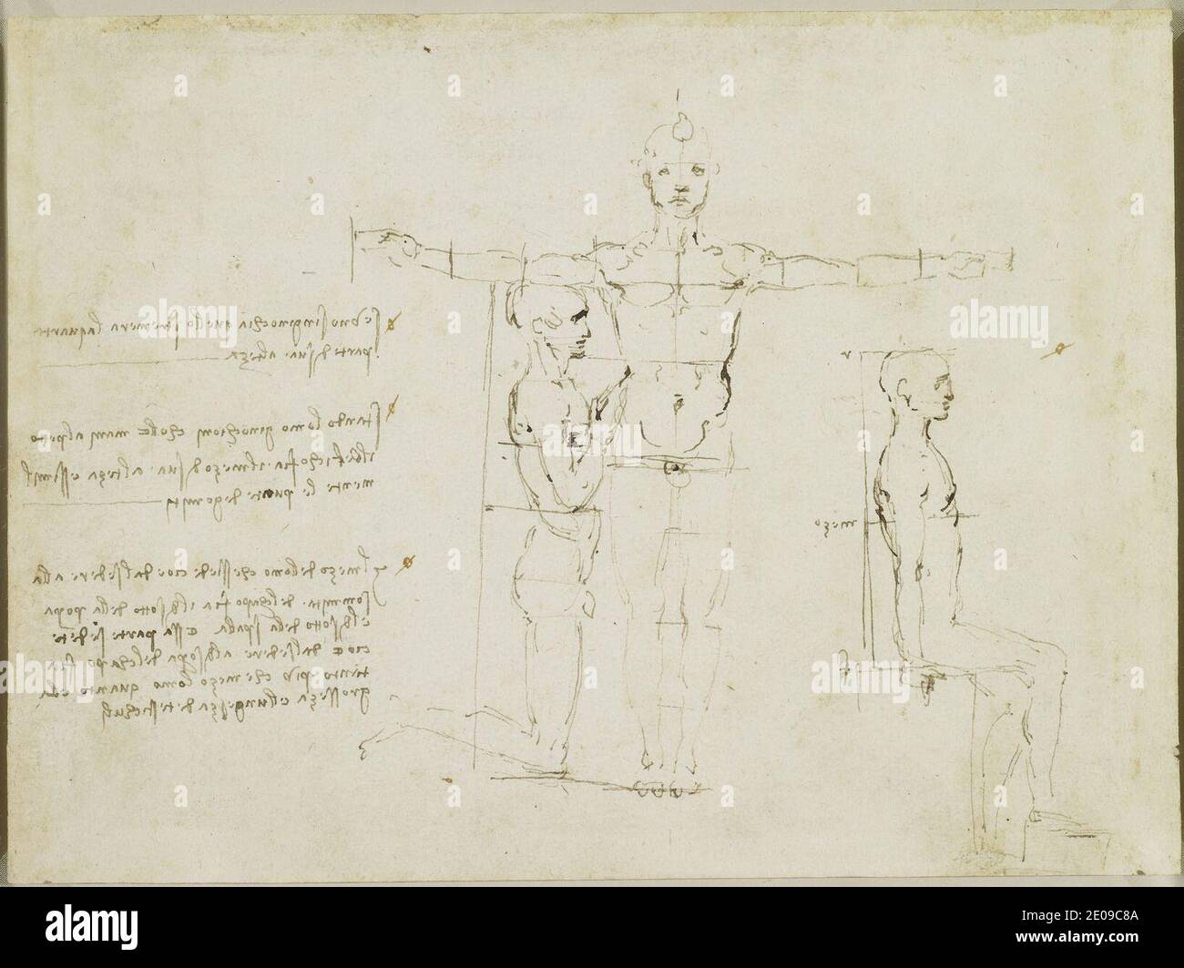 Proportions de l'homme Banque de photographies et d’images à haute ...