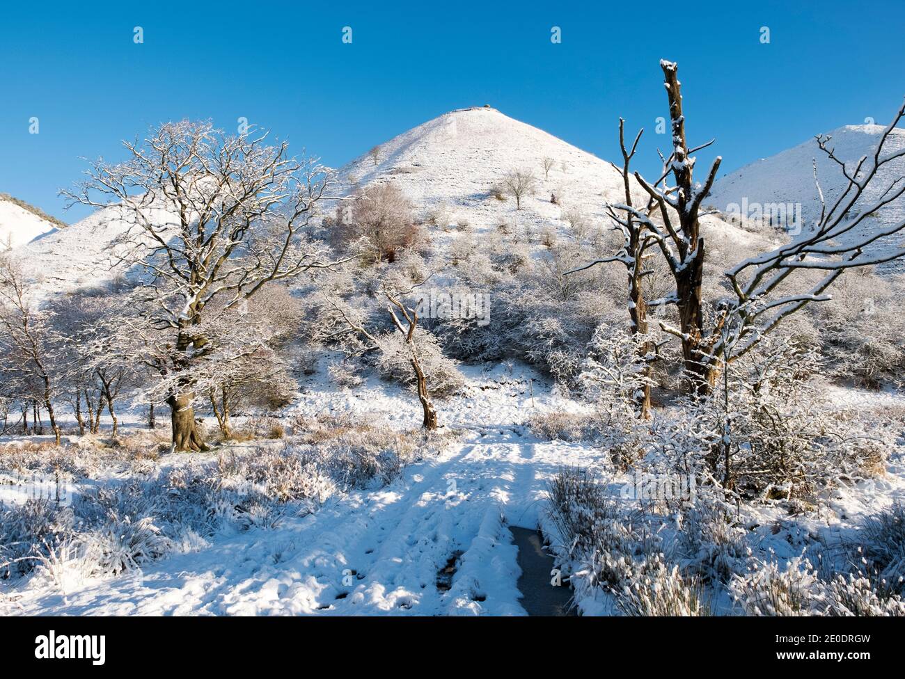 Schiste bing Banque de photographies et d’images à haute résolution - Alamy