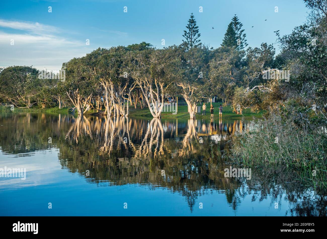Ti tree lake Banque de photographies et d’images à haute résolution - Alamy