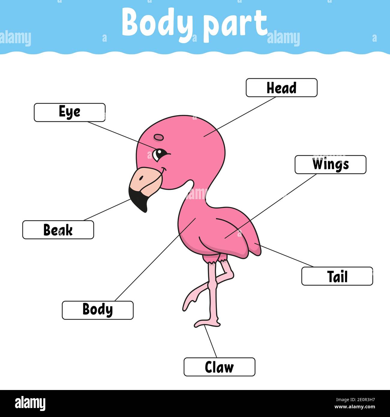 Langage corporel des oiseaux Banque d'images vectorielles - Alamy