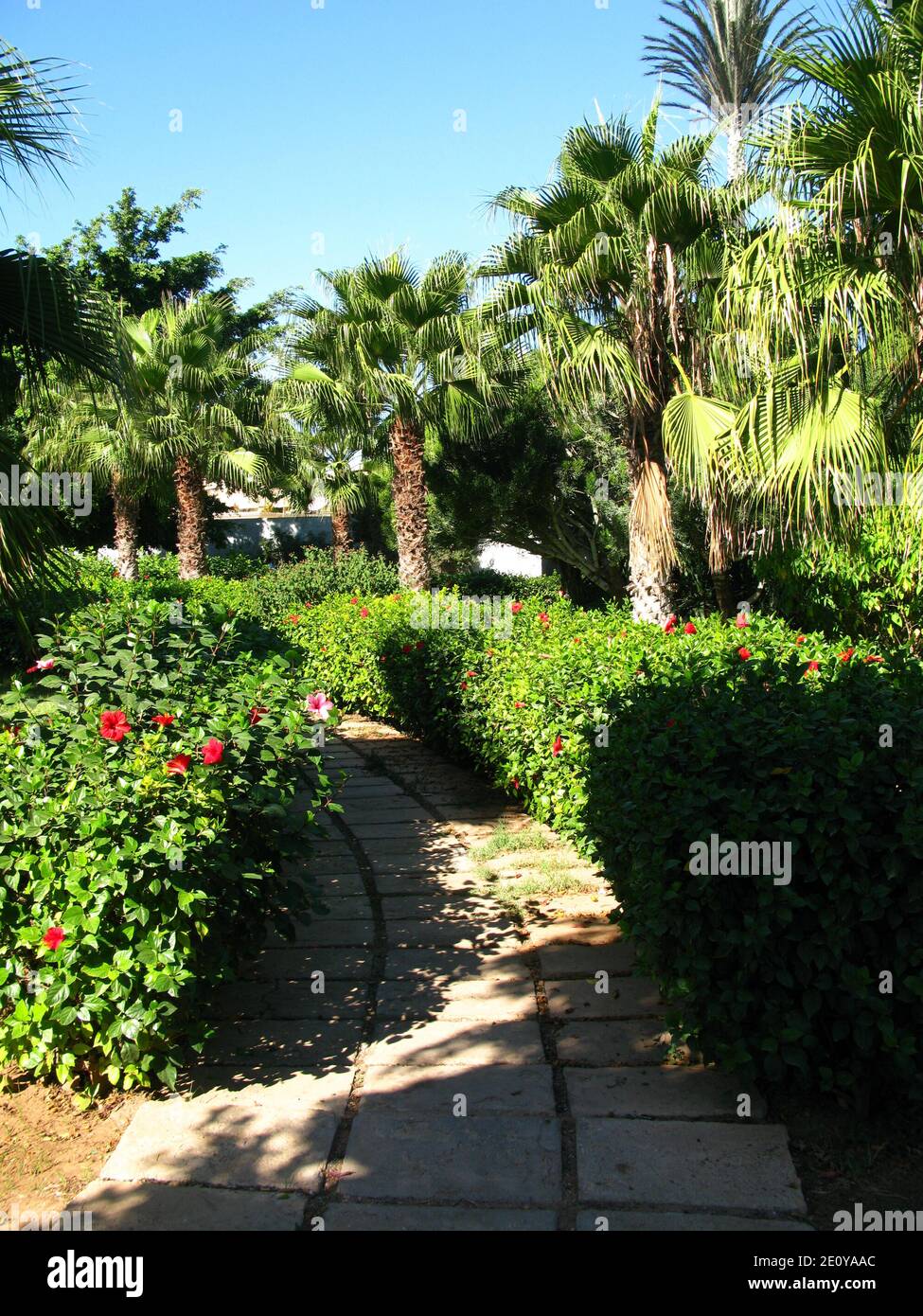Agadir city centre Banque de photographies et d’images à haute ...