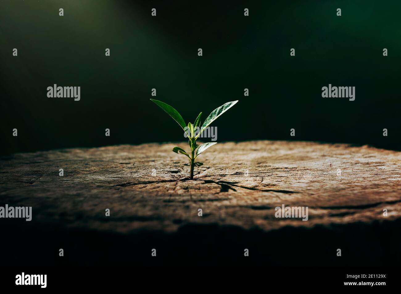 Nouveau concept vous changez la vie future Banque de photographies et d ...