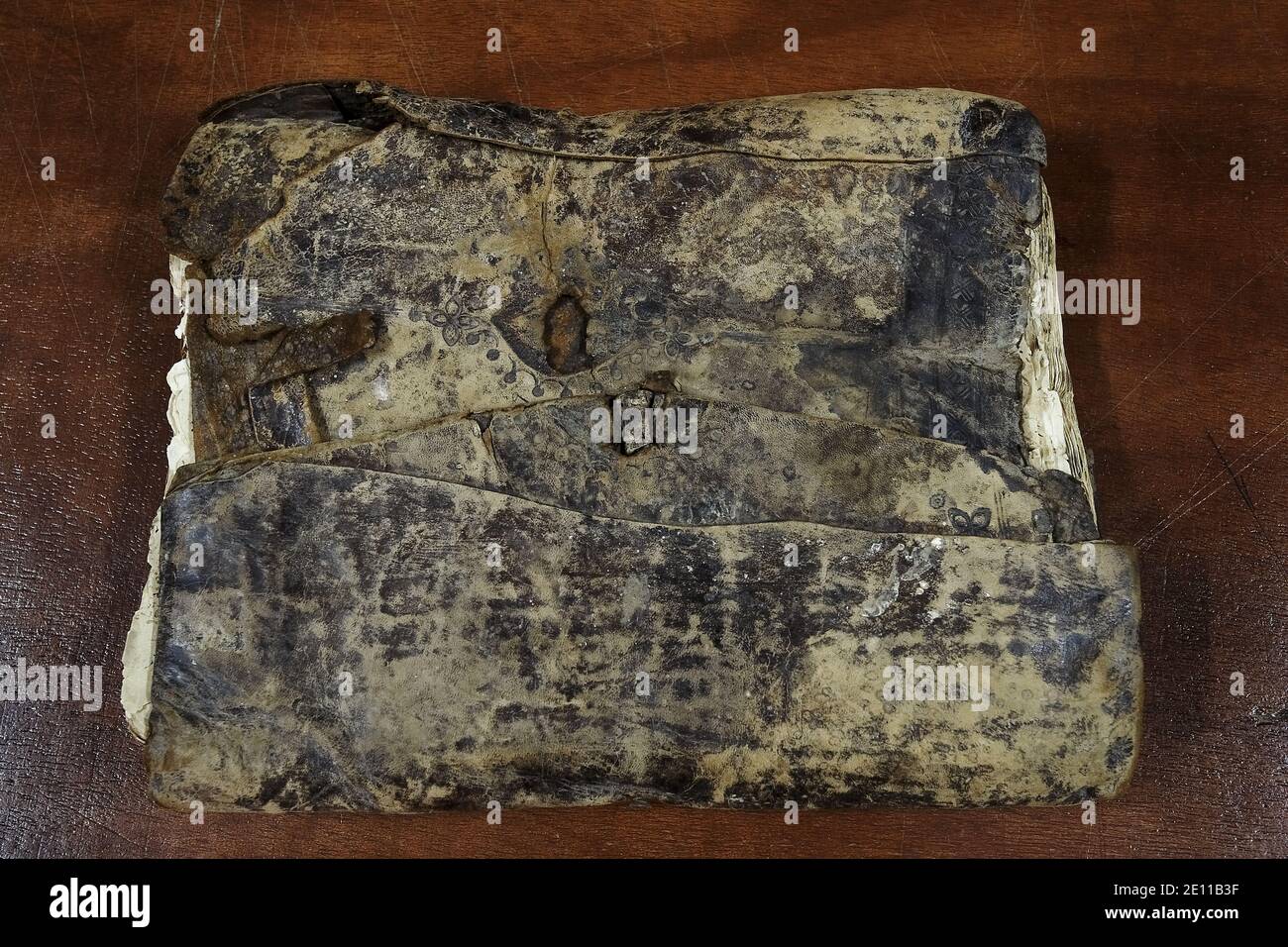 Les érudits se démènent pour présager des milliers de manuscrits qui ...