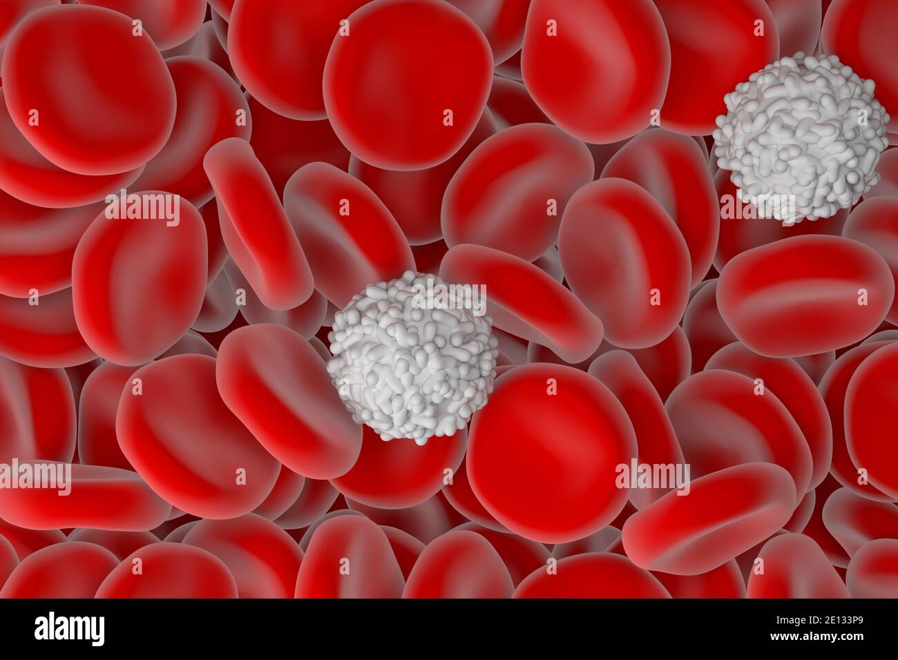 Lymphocytes dans le sang Banque de photographies et d’images à haute ...