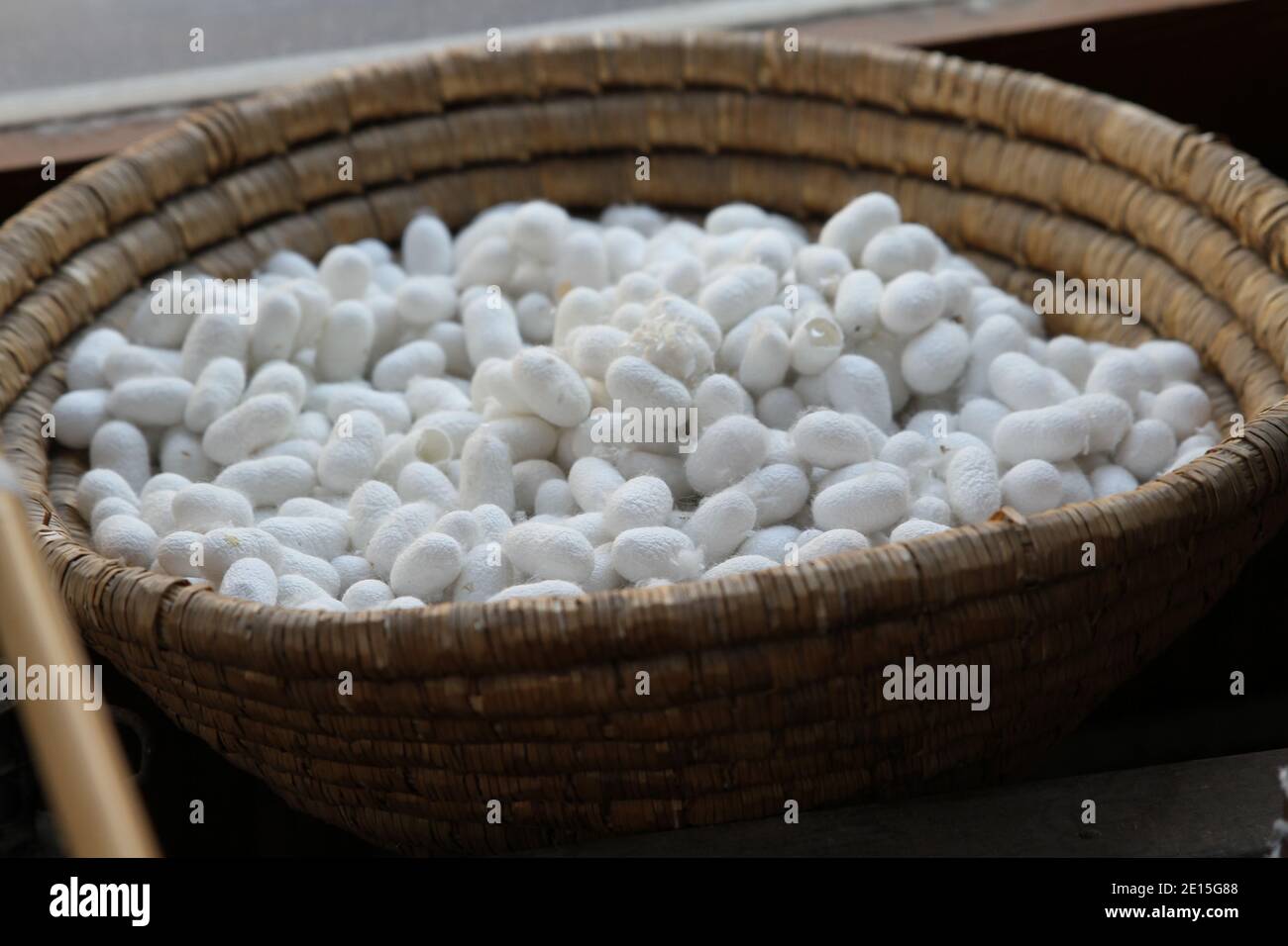 Ipek bocegi Banque de photographies et d’images à haute résolution - Alamy