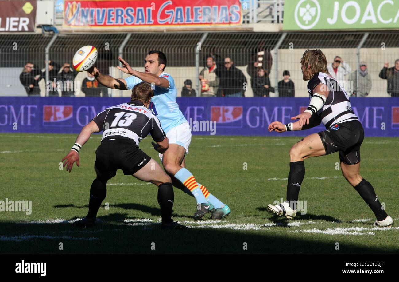 USA David Marty de Perpignan lors du match de rugby français Top 14 ...