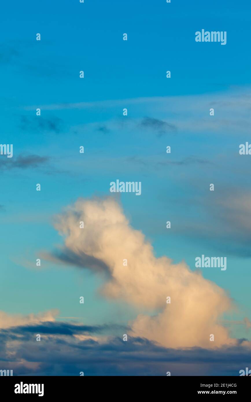Cumulonimbus calvus Banque de photographies et d’images à haute ...