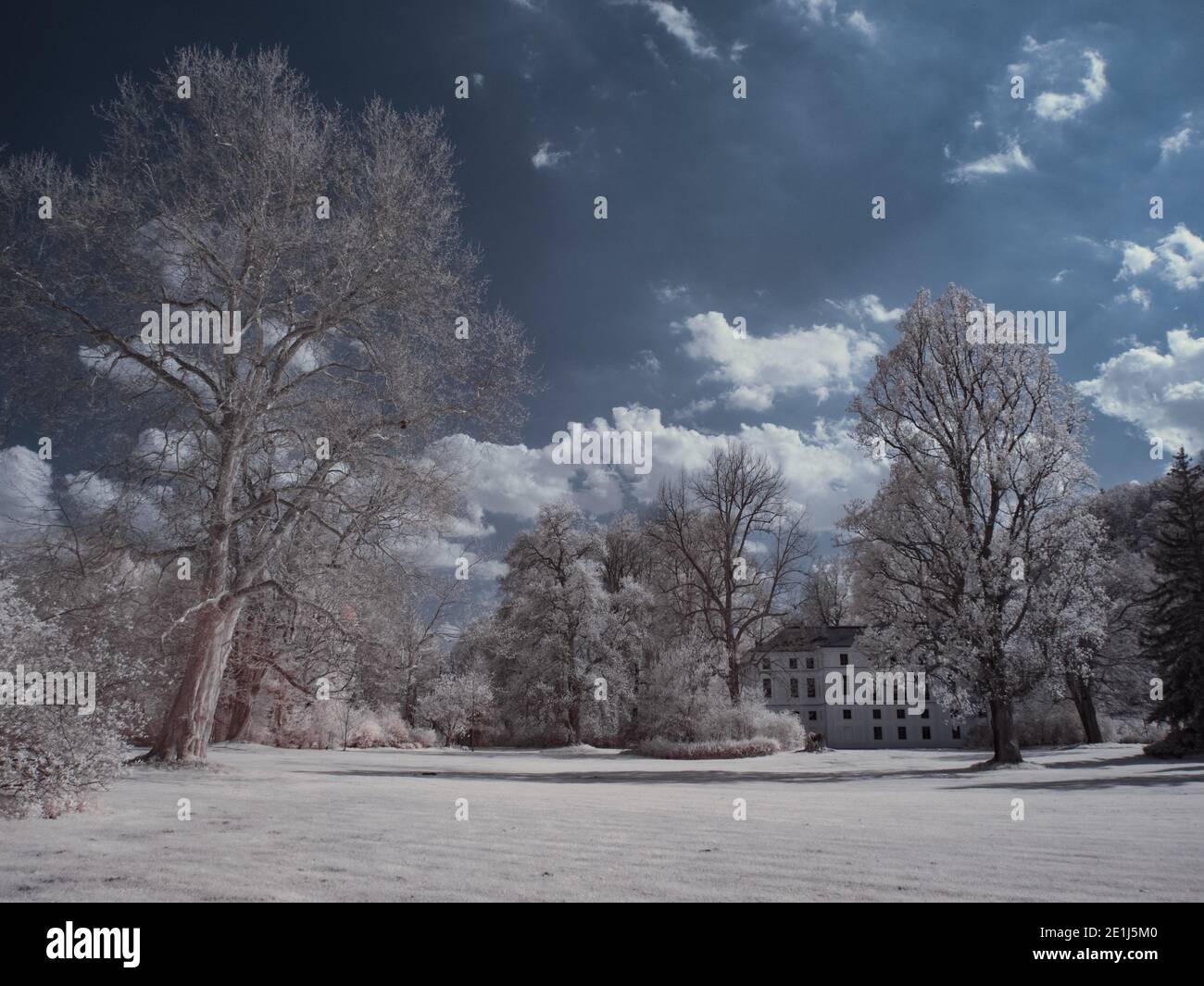 photographie infrarouge - photo infrarouge du paysage avec arbre sous ...