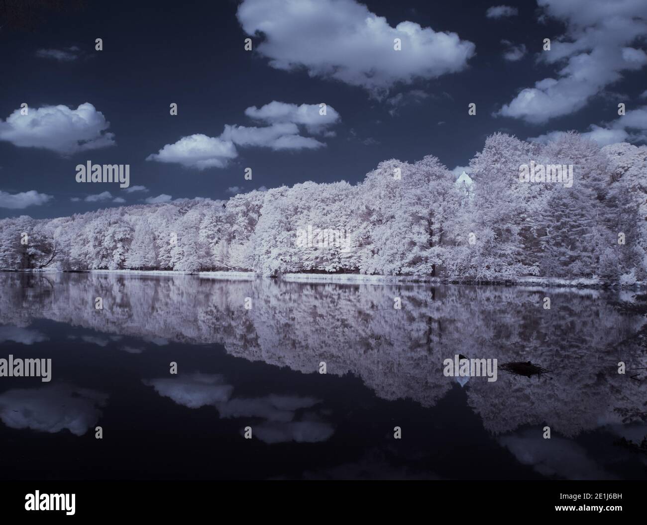 photographie infrarouge - photo infrarouge du paysage avec arbre sous ...