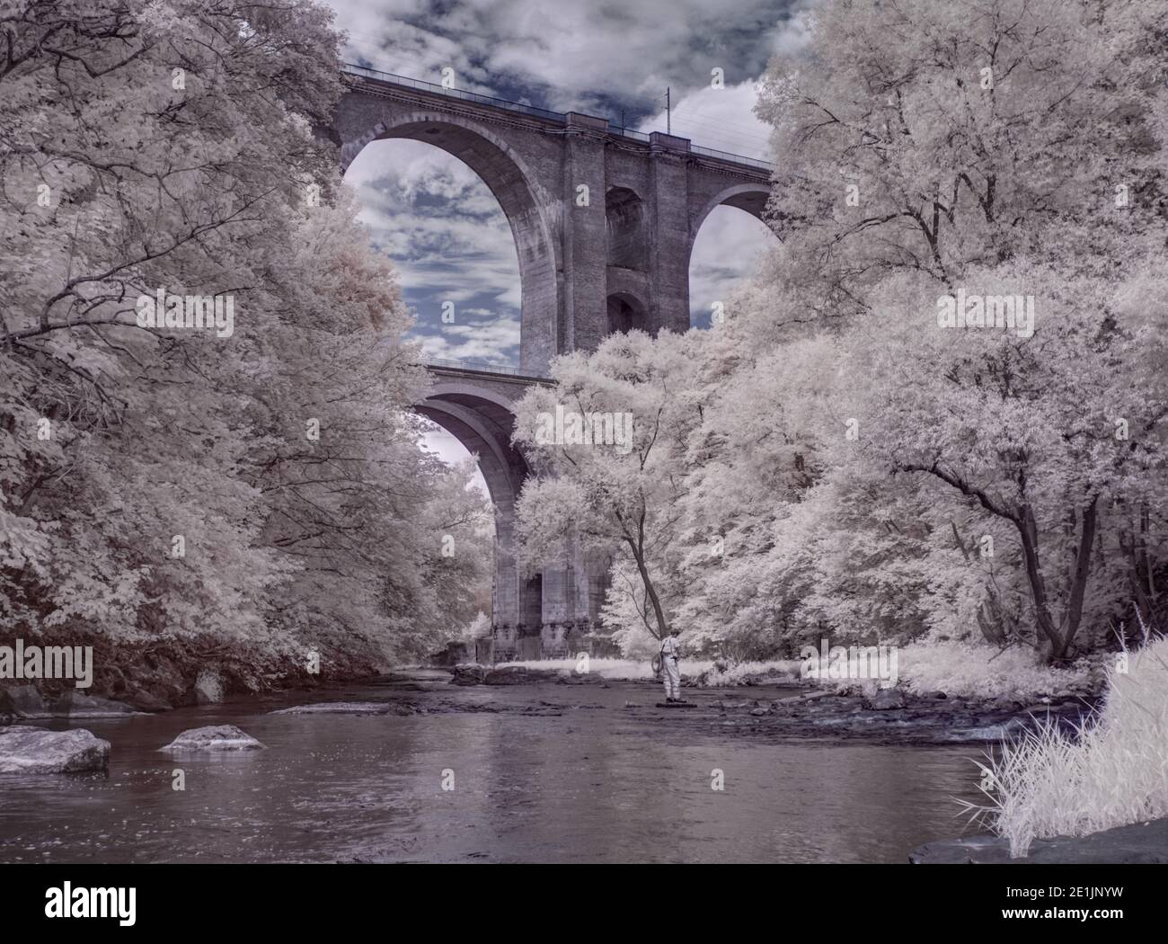 photographie infrarouge - photo infrarouge du paysage avec arbre sous ...