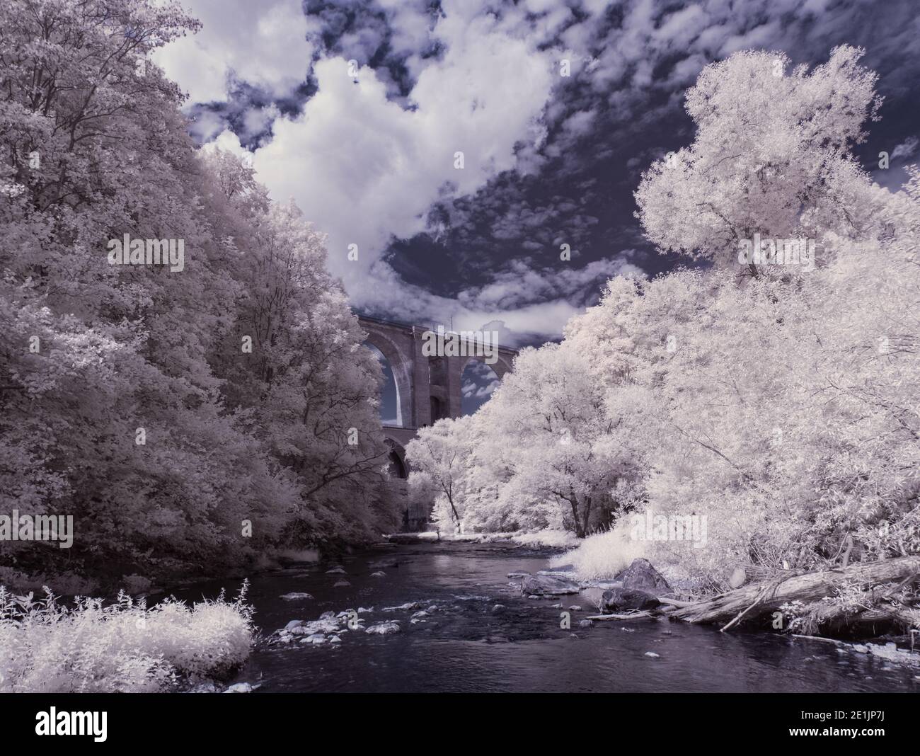 photographie infrarouge - photo infrarouge du paysage avec arbre sous ...