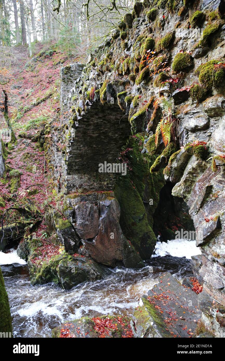 Craigvinean forest Banque de photographies et d’images à haute ...