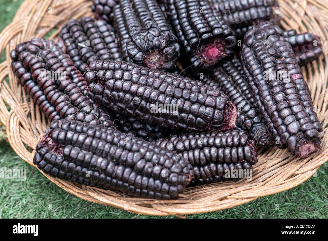 Techniques de teinture naturelle Banque de photographies et d’images à ...