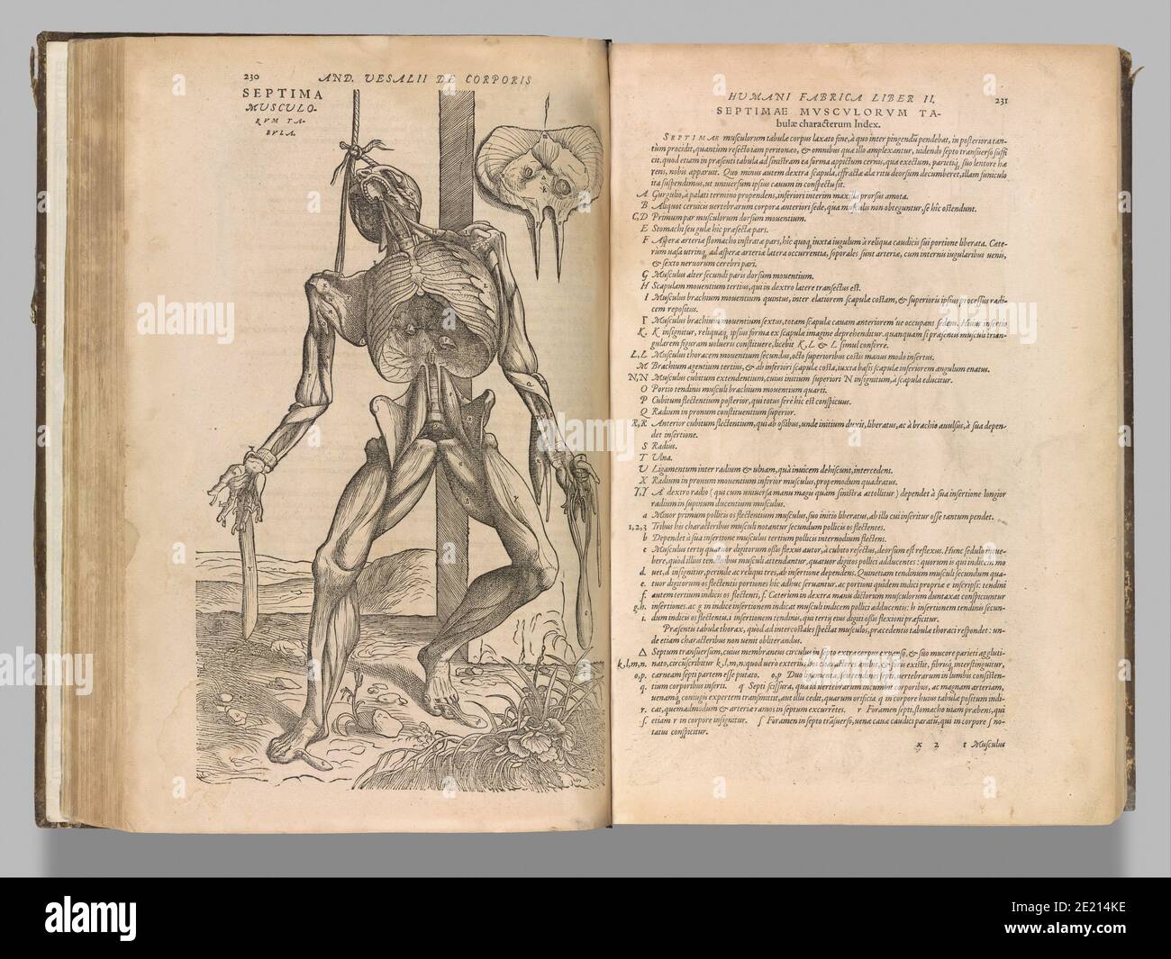 Gros plan d'une page dans l'Atlas de l'anatomie humaine Livre montrant ...