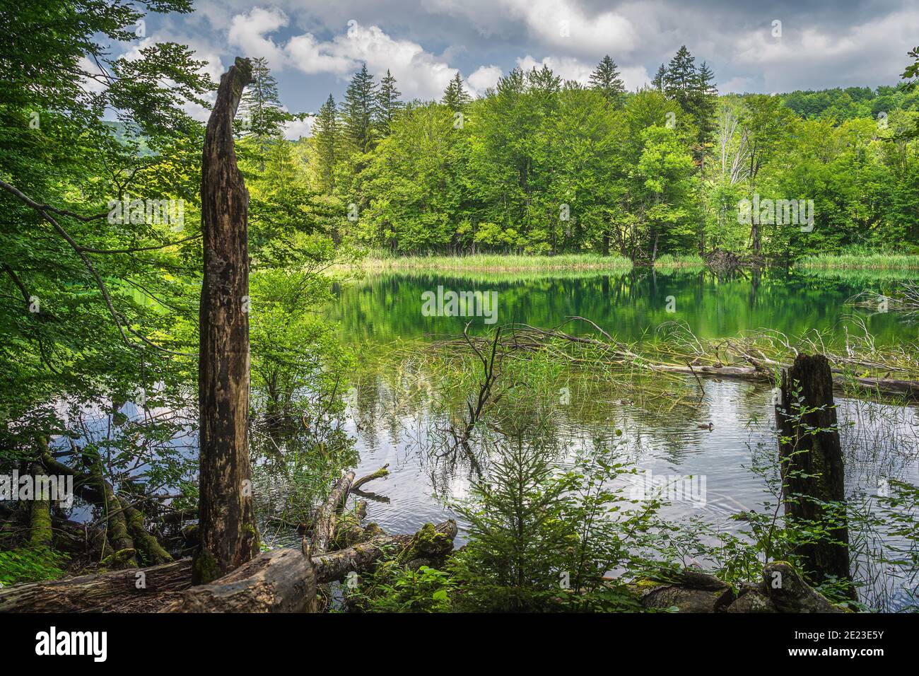 L'eau Pourrie Banque d'image et photos - Alamy