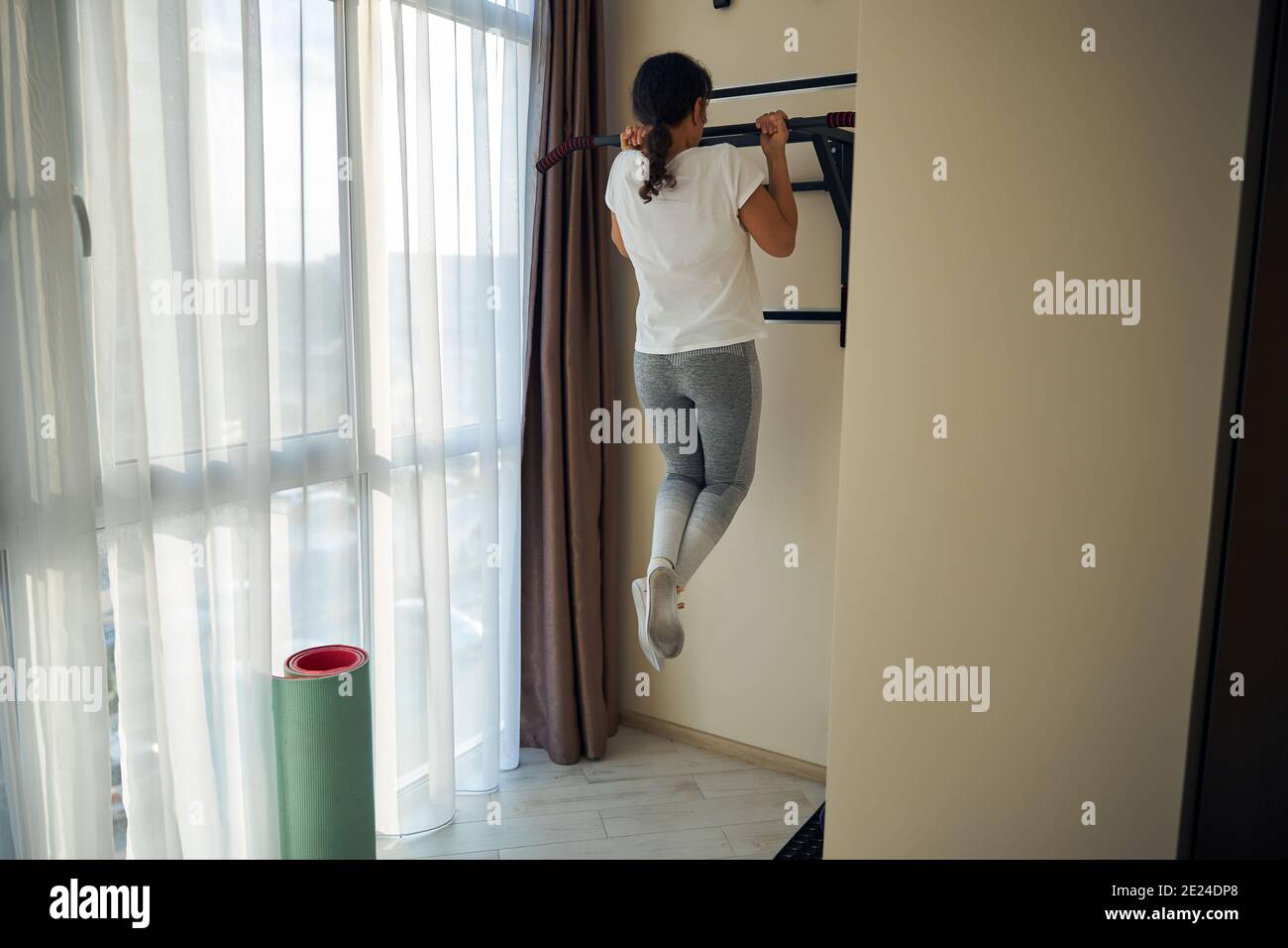 Queue De Cheval Banque d'image et photos - Alamy