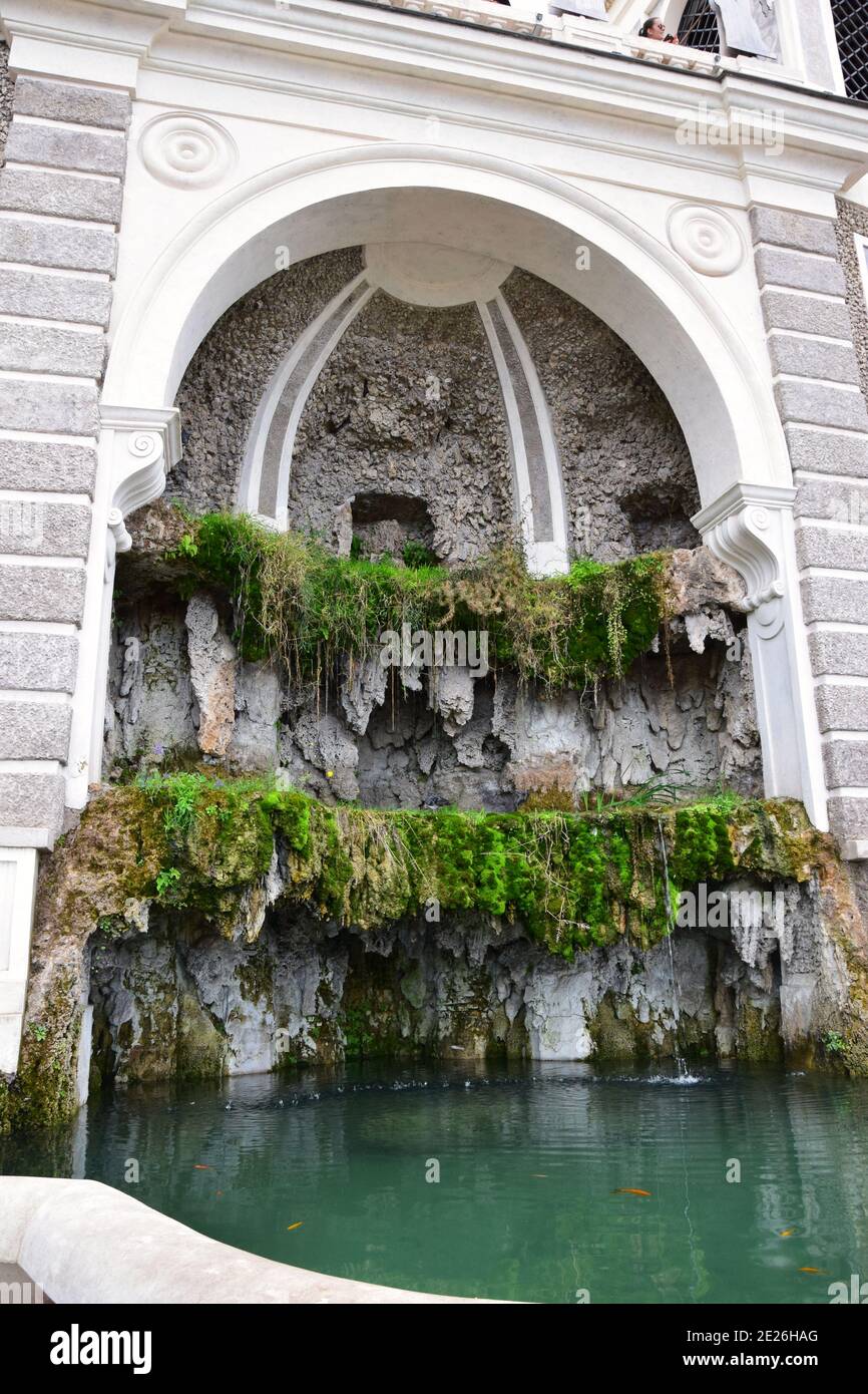 Uccelliere farnesiane Banque de photographies et d’images à haute ...