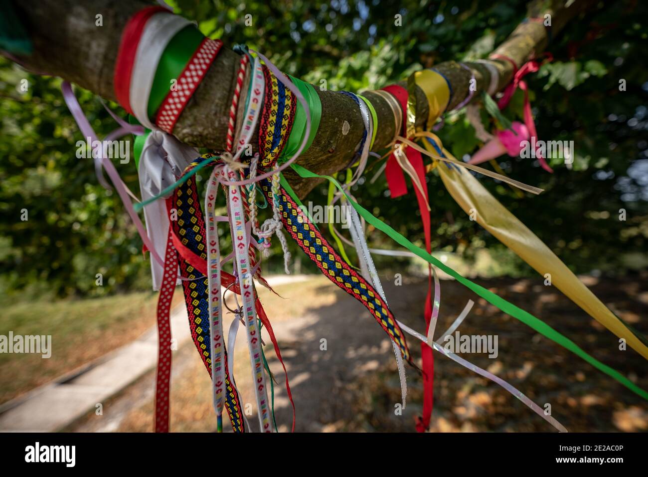Jrr tolkien tree Banque de photographies et d’images à haute résolution ...
