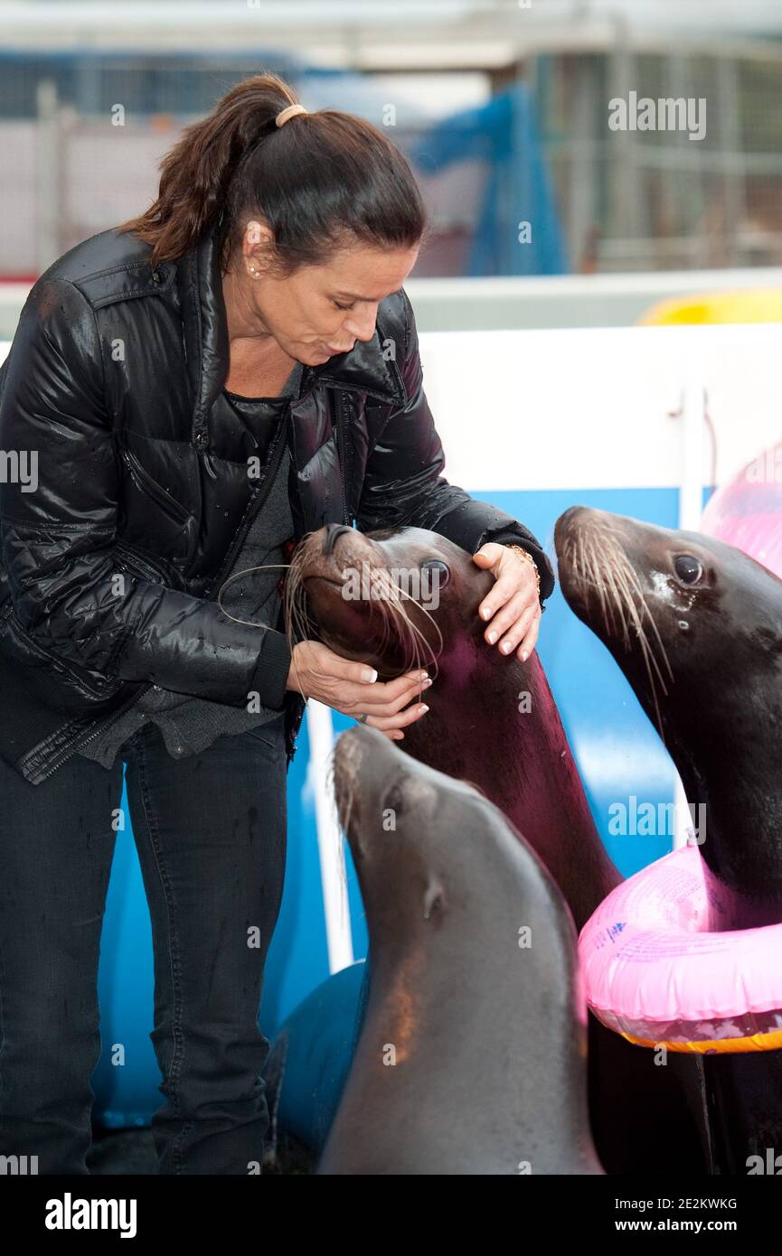 La princesse Stéphanie de Monaco pose avec les otaries de la famille ...