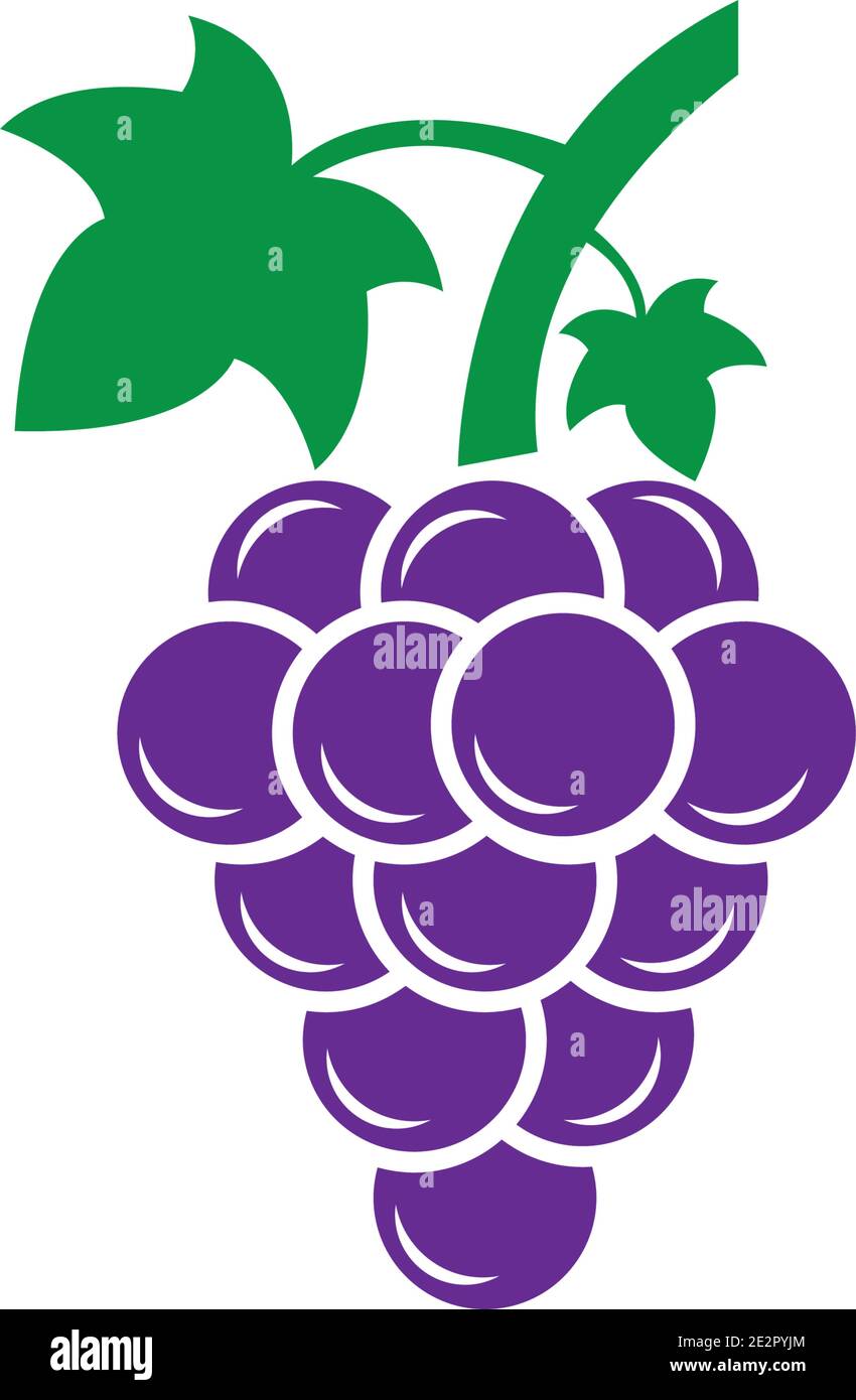 Modèle de dessin d'illustration vectorielle ICON Grapes Image ...