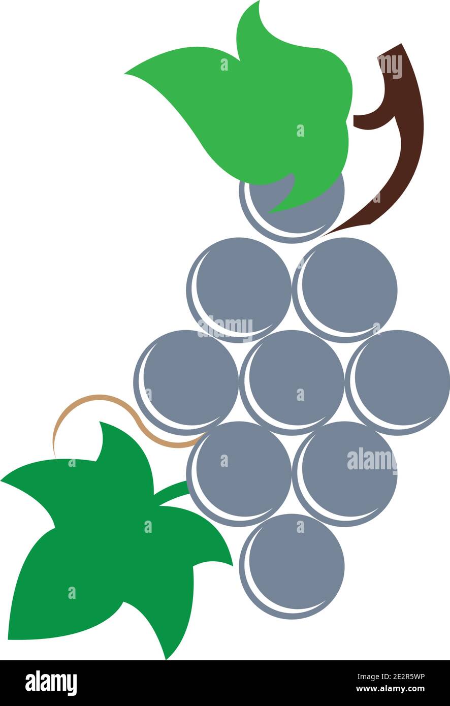 Modèle de dessin d'illustration vectorielle ICON Grapes Image ...