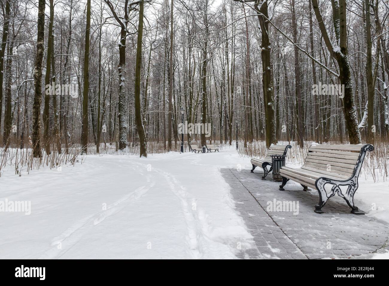 Banc de parc en hiver Banque de photographies et d’images à haute ...