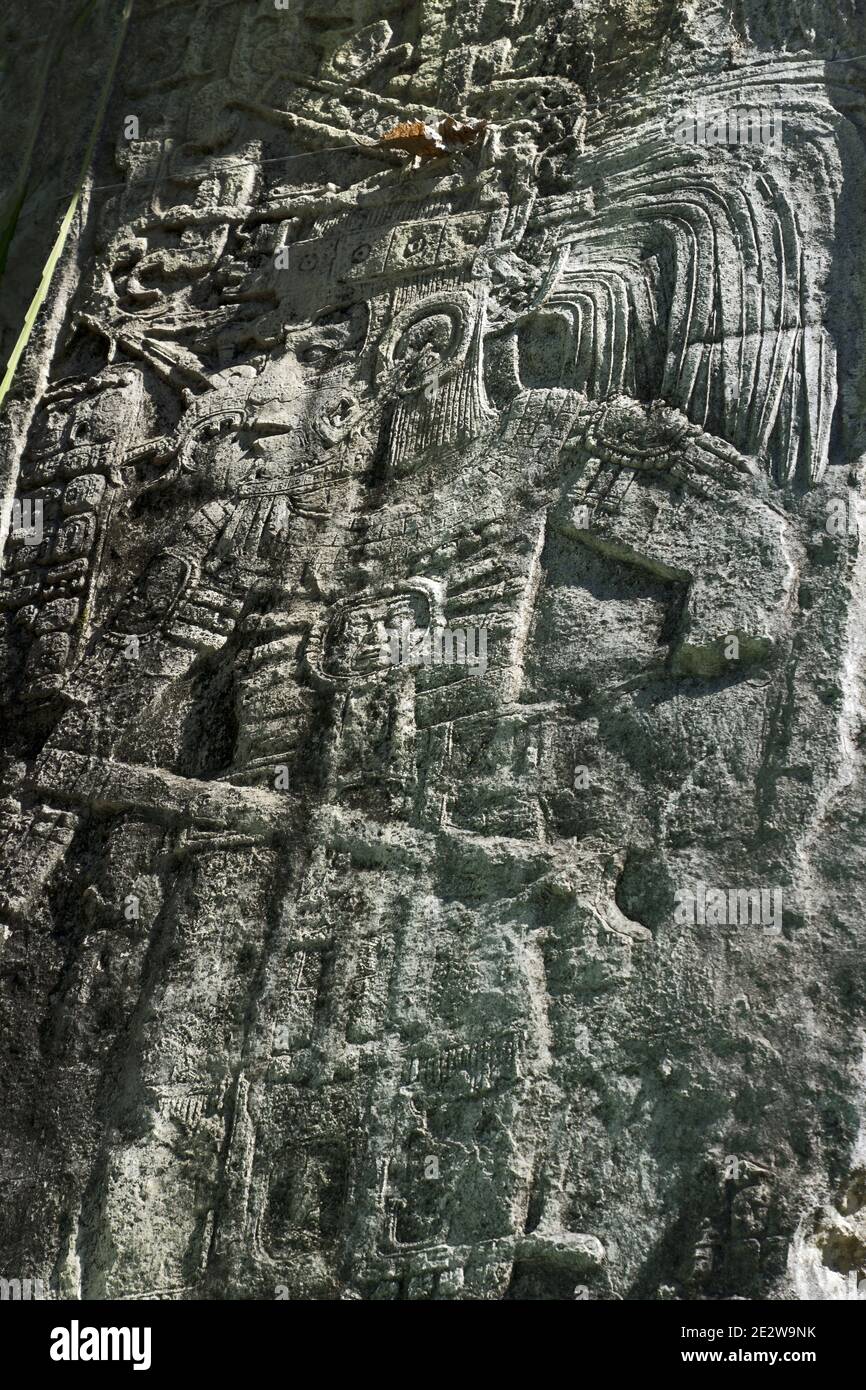 El ceibal guatemala Banque de photographies et d’images à haute ...