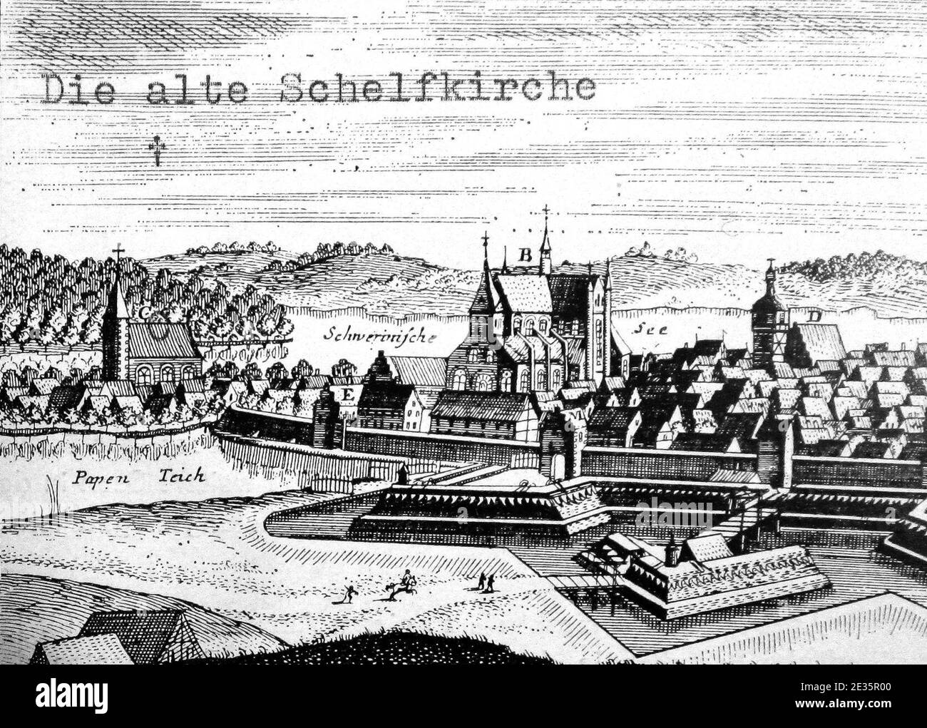 M merian Banque de photographies et d’images à haute résolution - Alamy