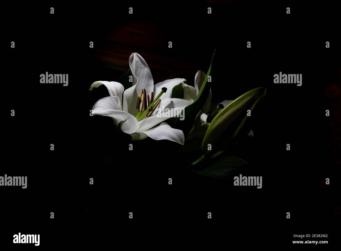 Contre plan Banque de photographies et d’images à haute résolution - Alamy