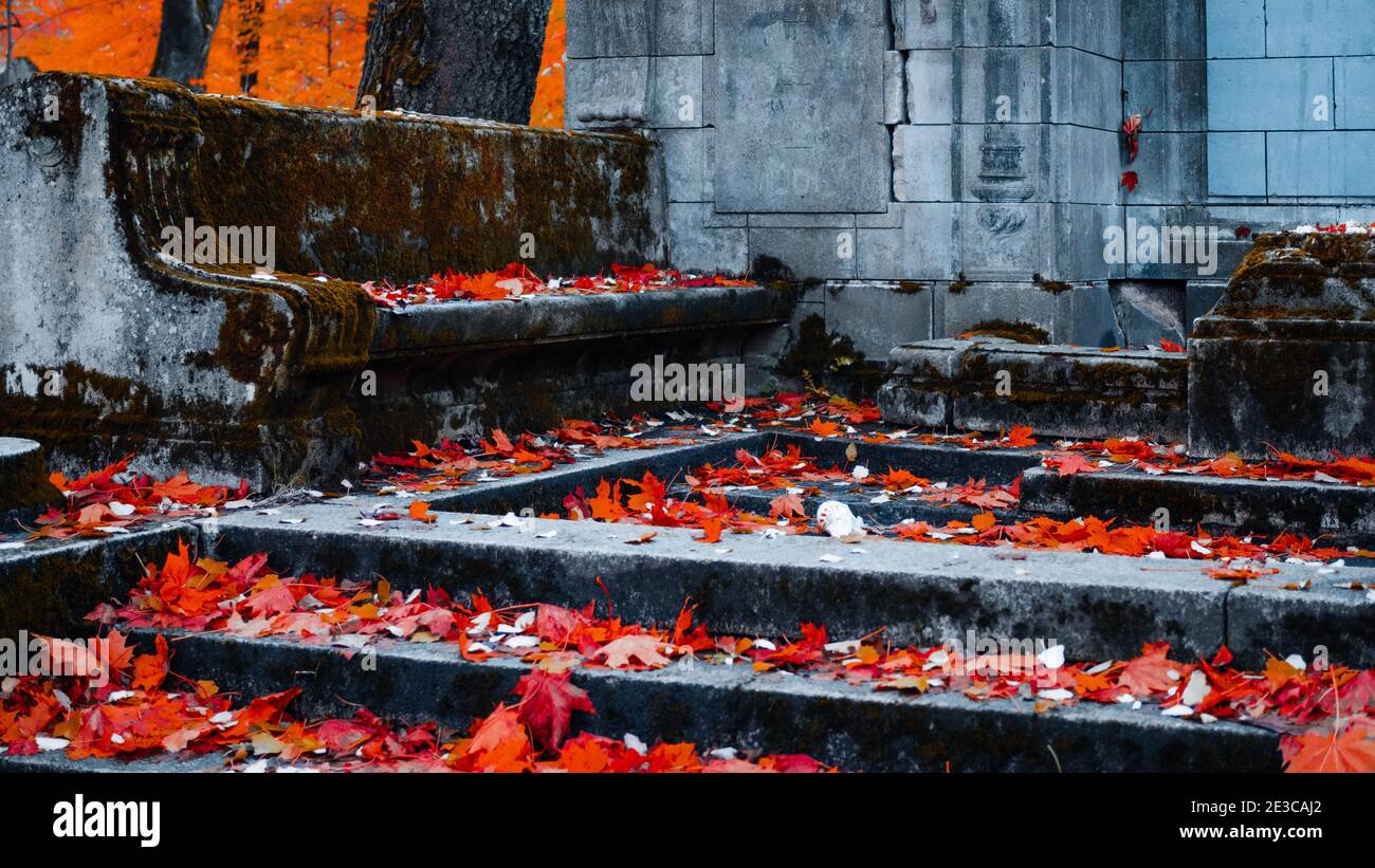 L'ancien cimetière catholique à l'automne. Tombes abandonnées sous une ...