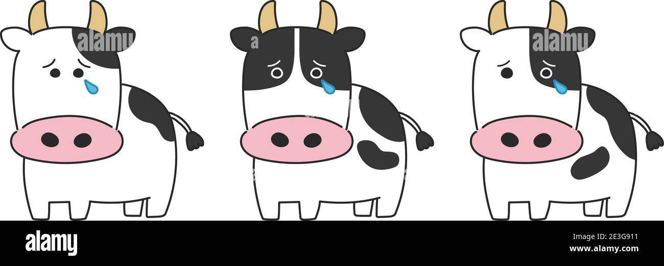 Vache Qui Pleure Photo De Stock Une Vache Qui Pleure, Avant D'être