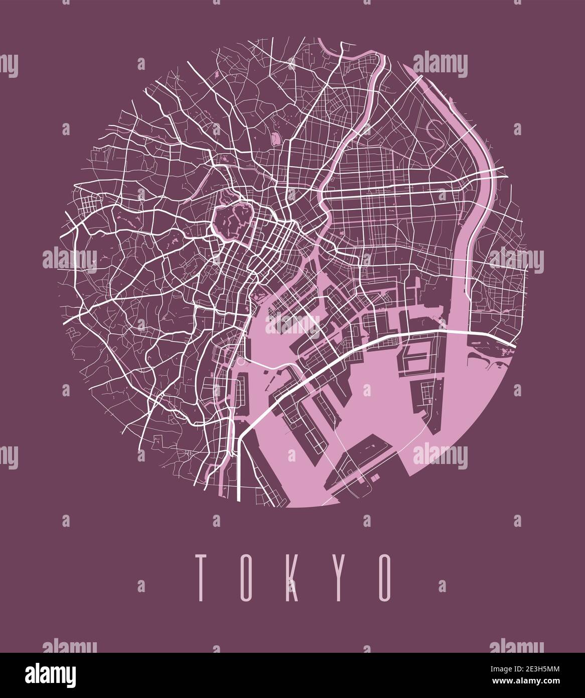 Poster carte de Tokyo. Plan de la ville de Tokyo au design décoratif ...