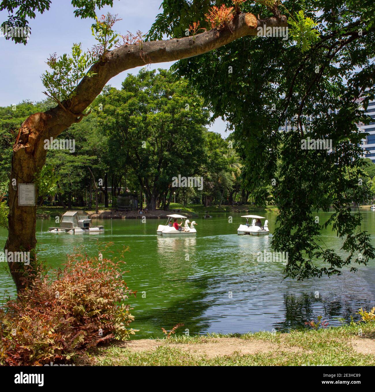 Bangkok park Banque de photographies et d’images à haute résolution - Alamy