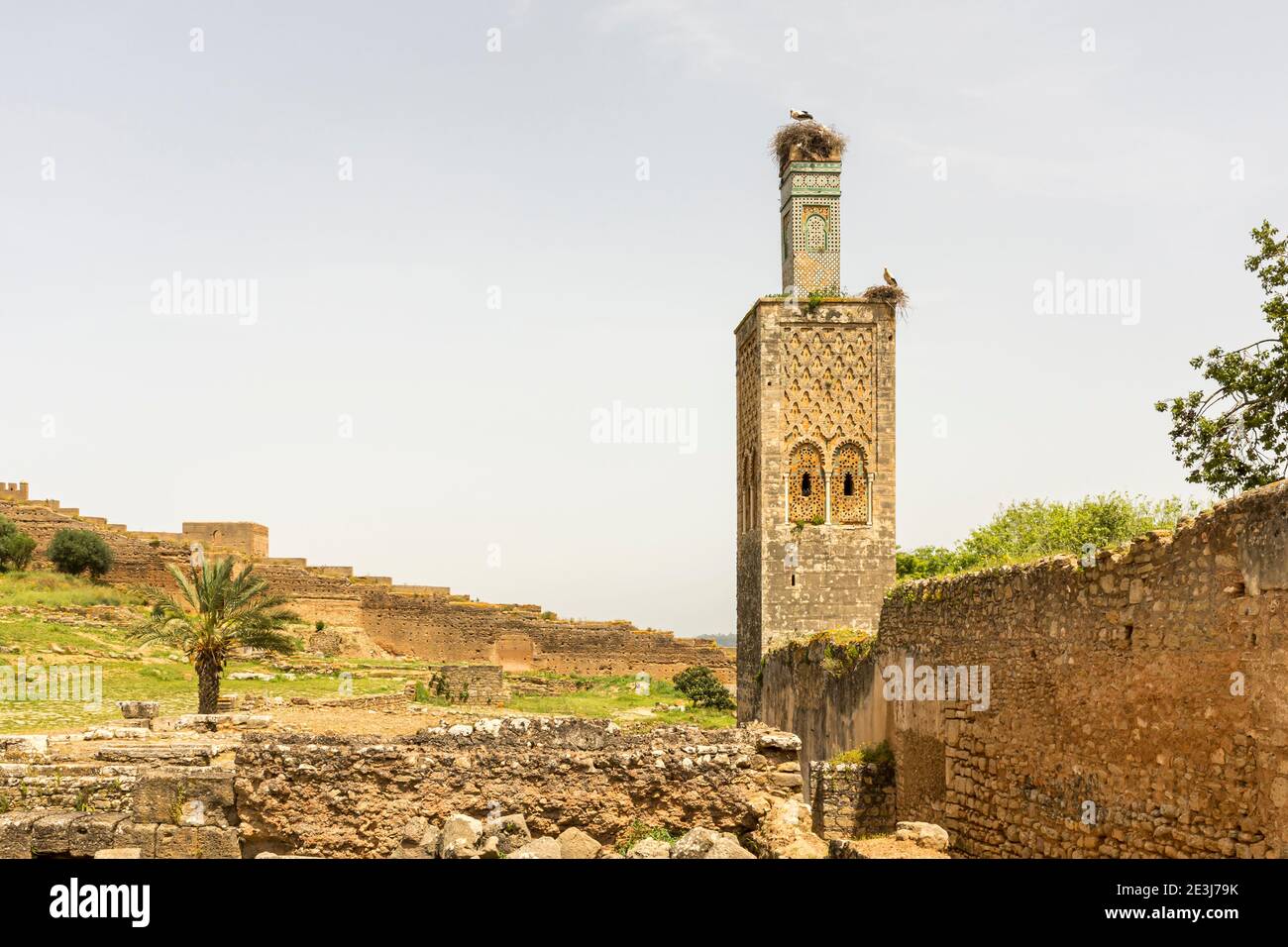 Les ruines de la nécropole médiévale fortifiée à Chellah, à Rabat, au ...