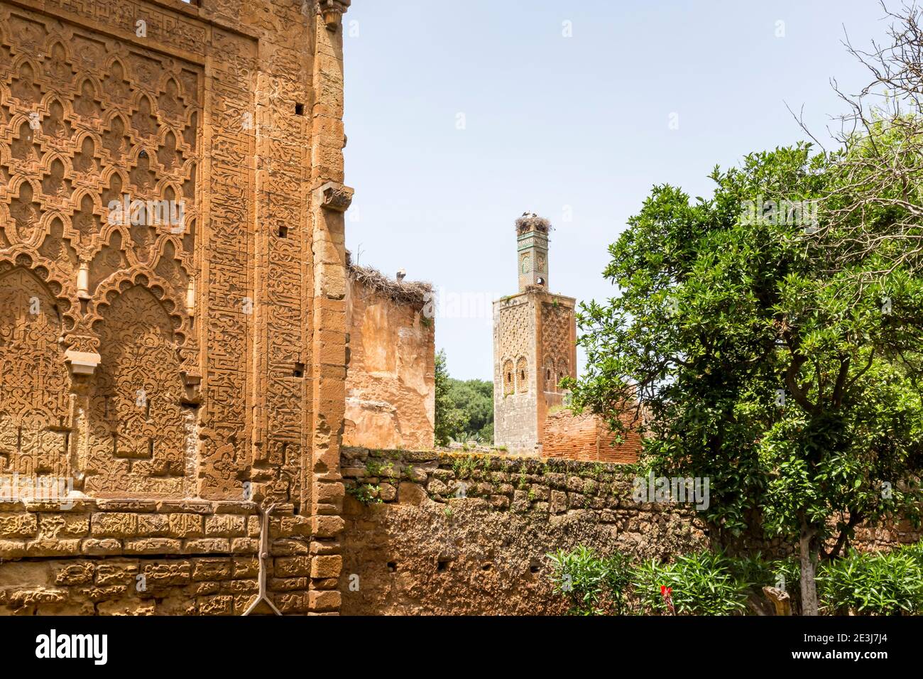 Les ruines de la nécropole médiévale fortifiée à Chellah, à Rabat, au ...