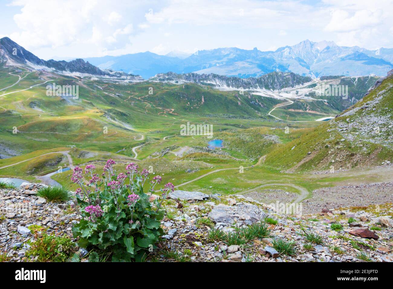 Paysage naturel majestueux avec des lacs clairs et des fleurs sauvages ...